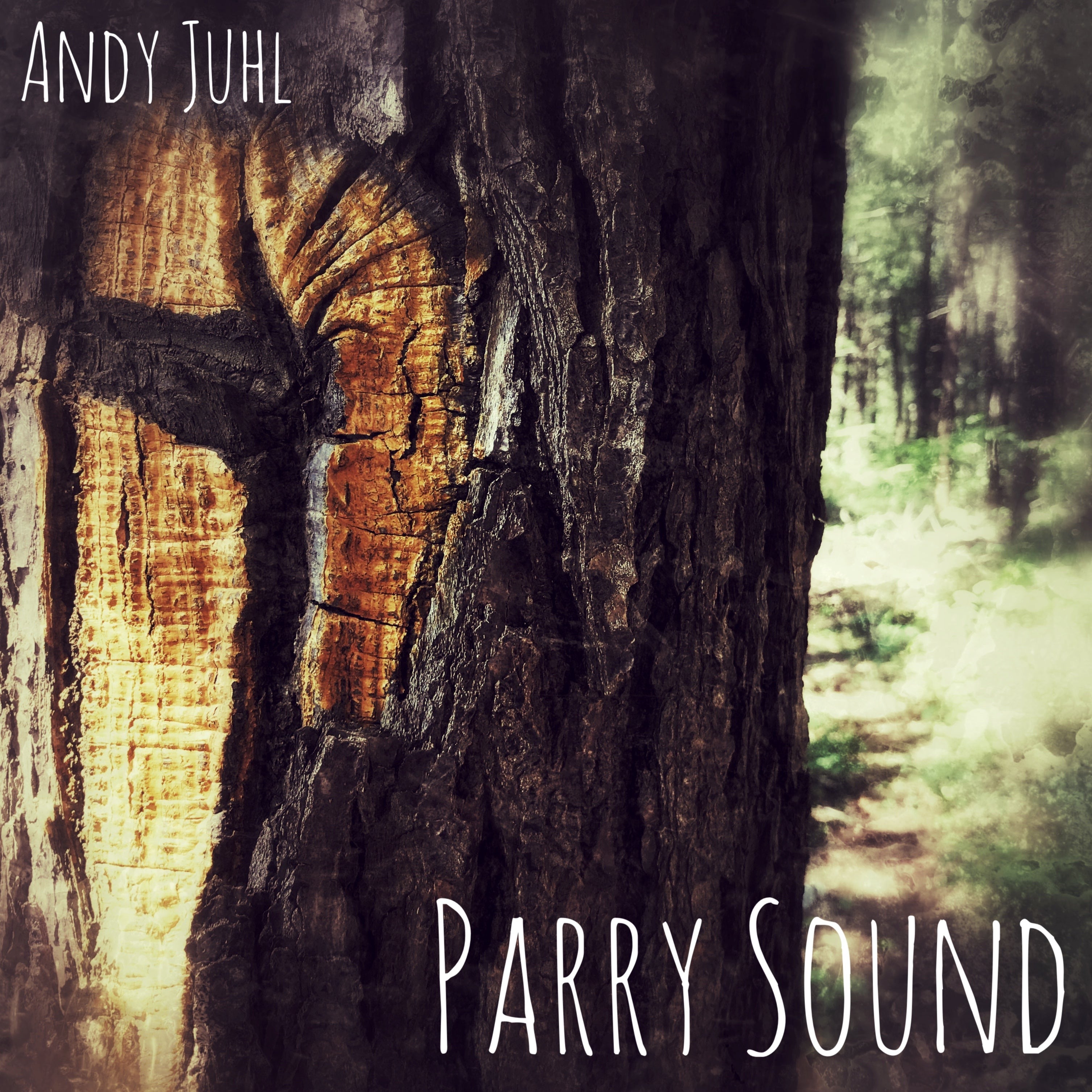 Parry Sound (single) - Digital Download – Andy Juhl Store